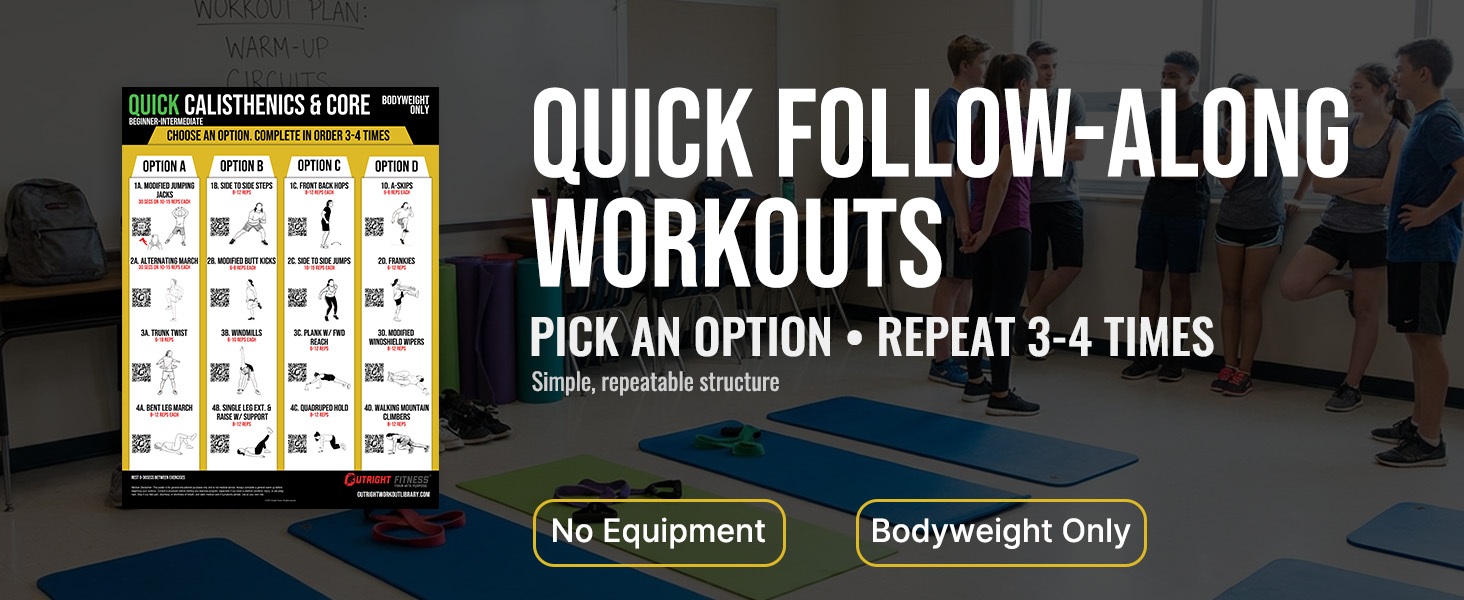 Calisthenics & Core Workout Wall Poster — 18x24 — Beginner–Intermediate ...