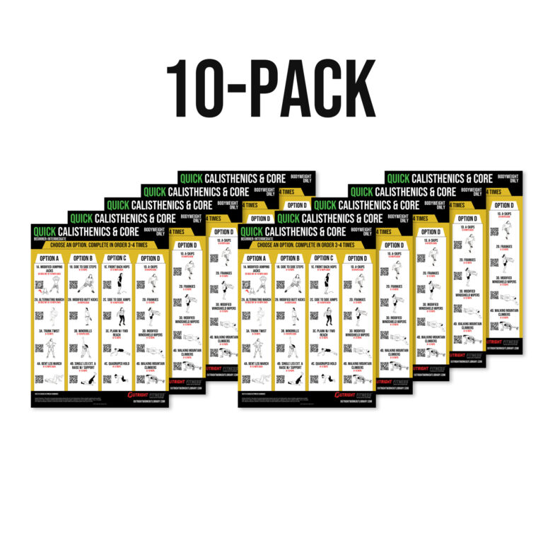 Calisthenics & Core Workout Wall Chart — 18x24 — Beginner–Intermediate ...